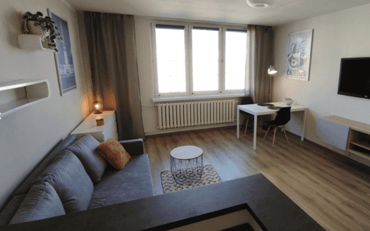 Flat for rent in Warsaw - Apartment for rent in Poland
